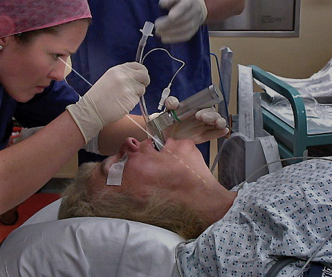 Sniffing the Morning Air