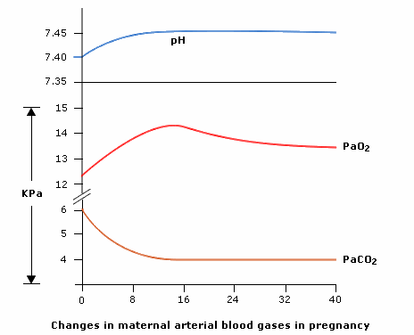 Blood Gas Changes