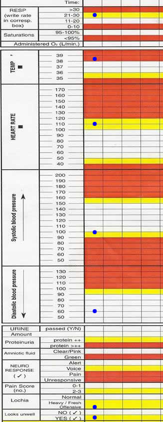Fig 1 MEOWS chart for case study 2